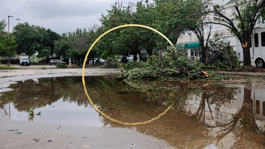 12 Ways to Avoid Hurricane Damage